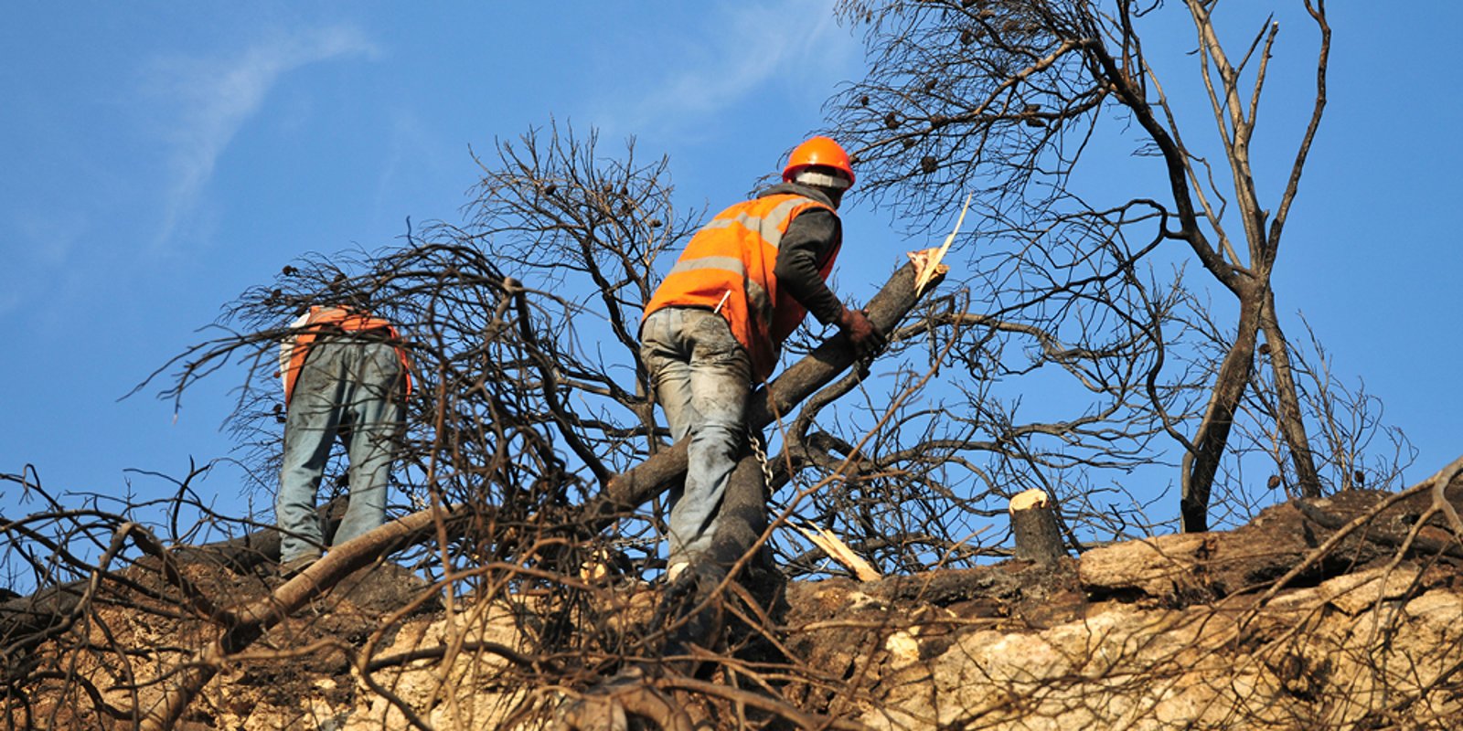 Wildfire loss mitigation starts with a plan