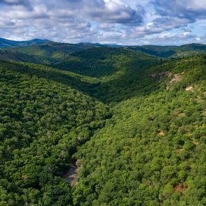 Environmental Insurance | Zurich Canada