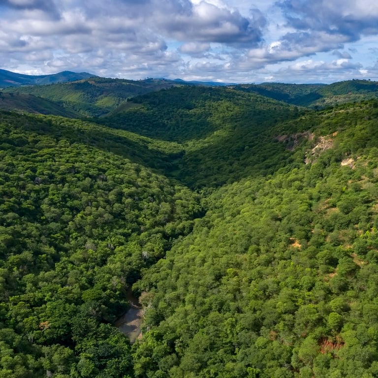 Environmental Insurance | Zurich Canada