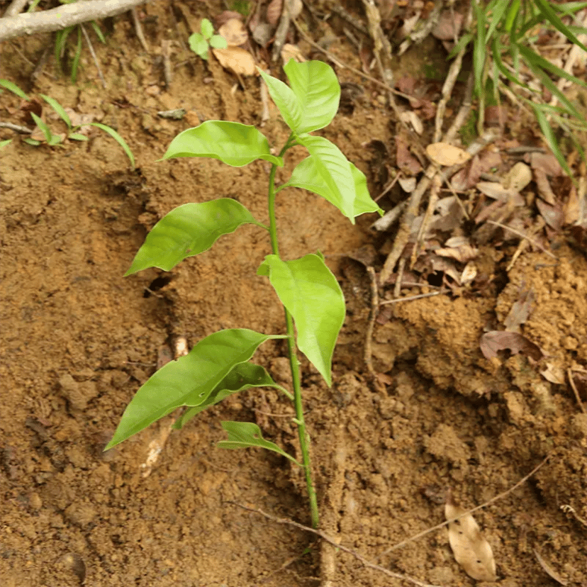 Pollution Liability Insurance | Zurich Insurance