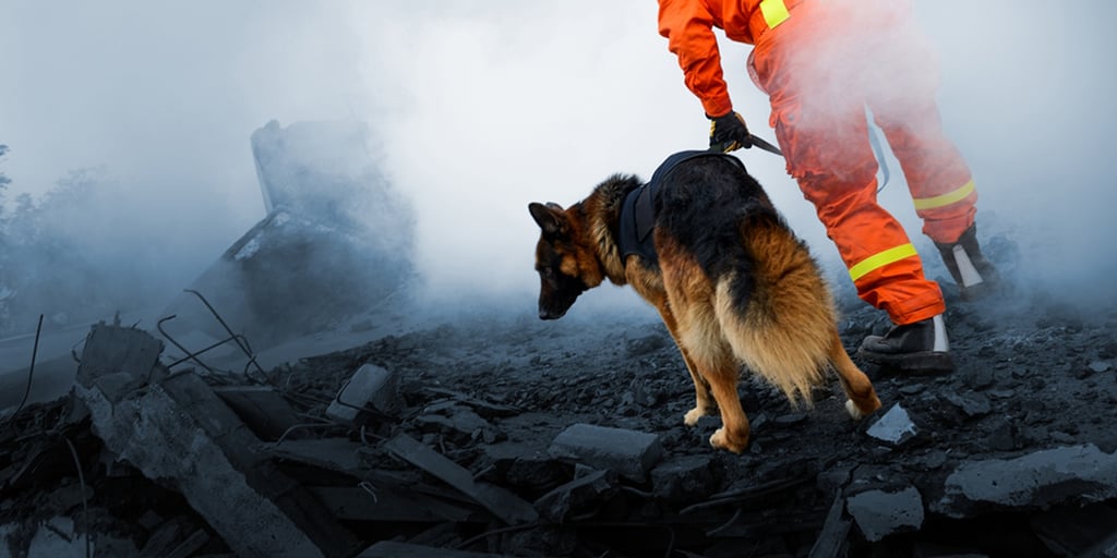 Be prepared: start a disaster recovery plan today | Zurich