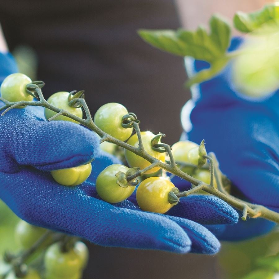 Optimuz V3 | For My Business | Insurance Products | Zurich Malaysia