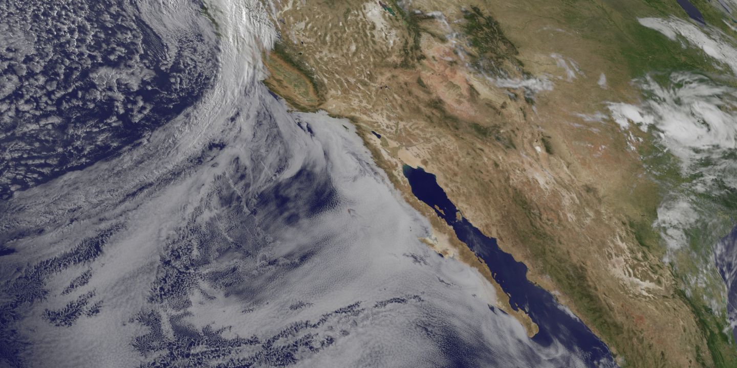 Global Risks Report 2024: Discover the forces shaping our tomorrow